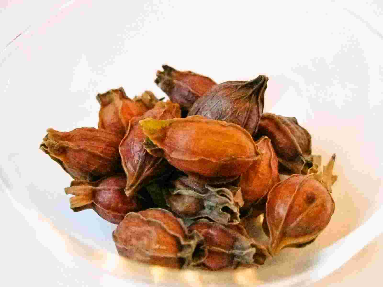 Recipes for Tom: Kuchinashi / shan zhi zi / zhi zi / dried gardenia fruit
