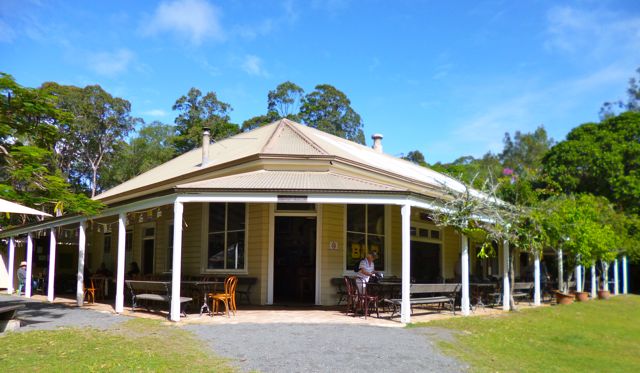 Peter and Vicki's Travel Blog: Boreen Point Beckons