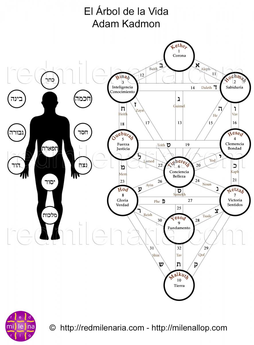 Medicina para el alma: SOLSTICIO DEL ÁRBOL DE LA CÁBALA Medicina para el alma: SOLSTICIO DEL ÁRBOL DE LA CÁBALA