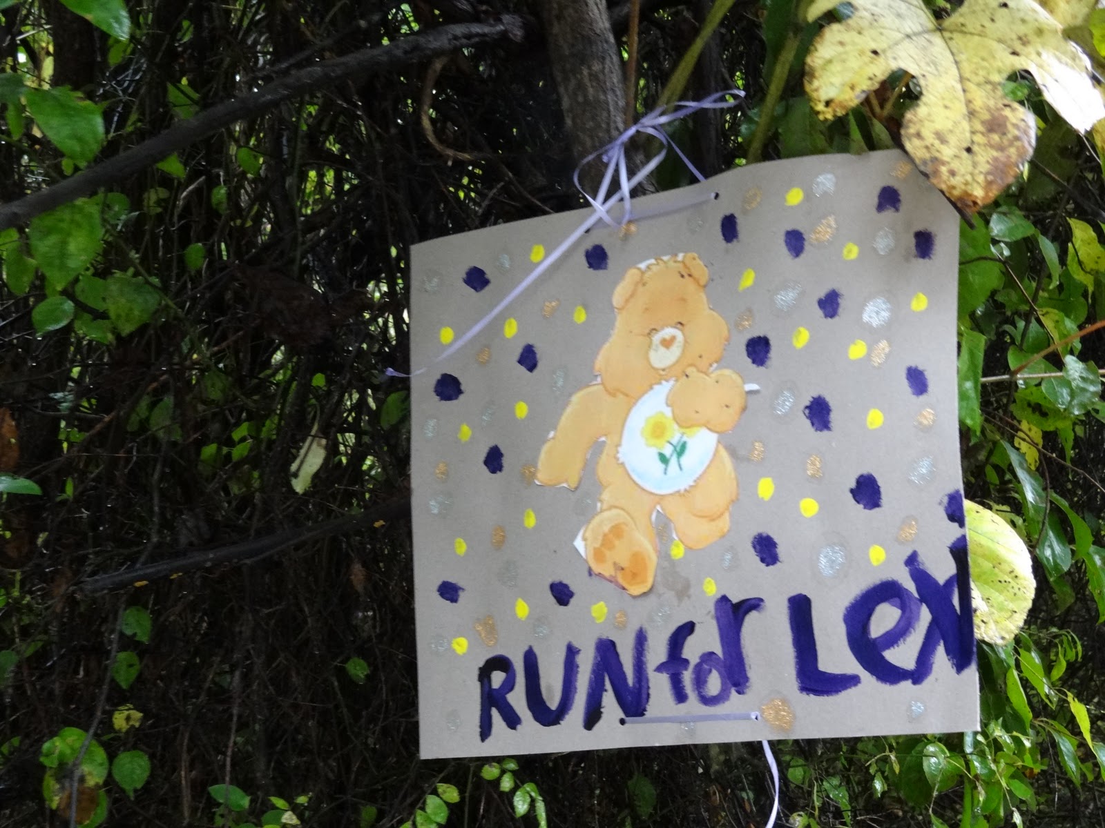 Dragon Stitches and Stuff by Astrid: 2nd Annual Laps for Lexi