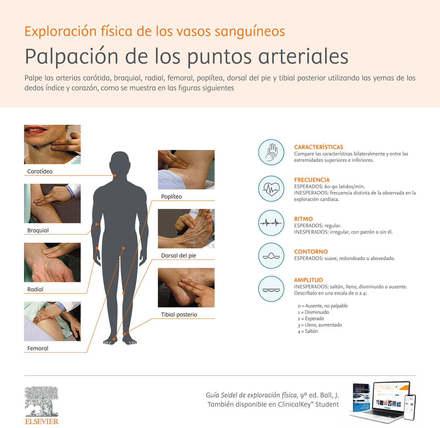 EMS SOLUTIONS INTERNATIONAL by @DrRamonReyesMD marca registrada: Pulso ...