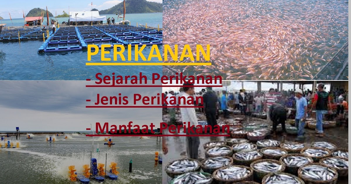 Pengertian Perikanan Beserta Jenis Jenis Dan Manfaat - vrogue.co