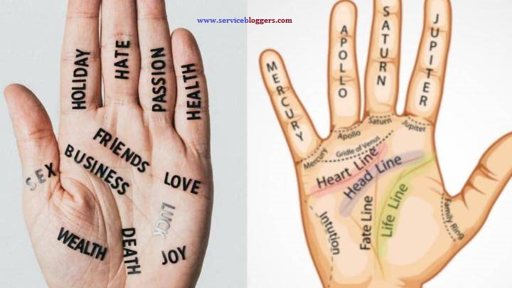 Learn The Beauty Of Blogging: 4+ Major lines on your Palm tells about ...