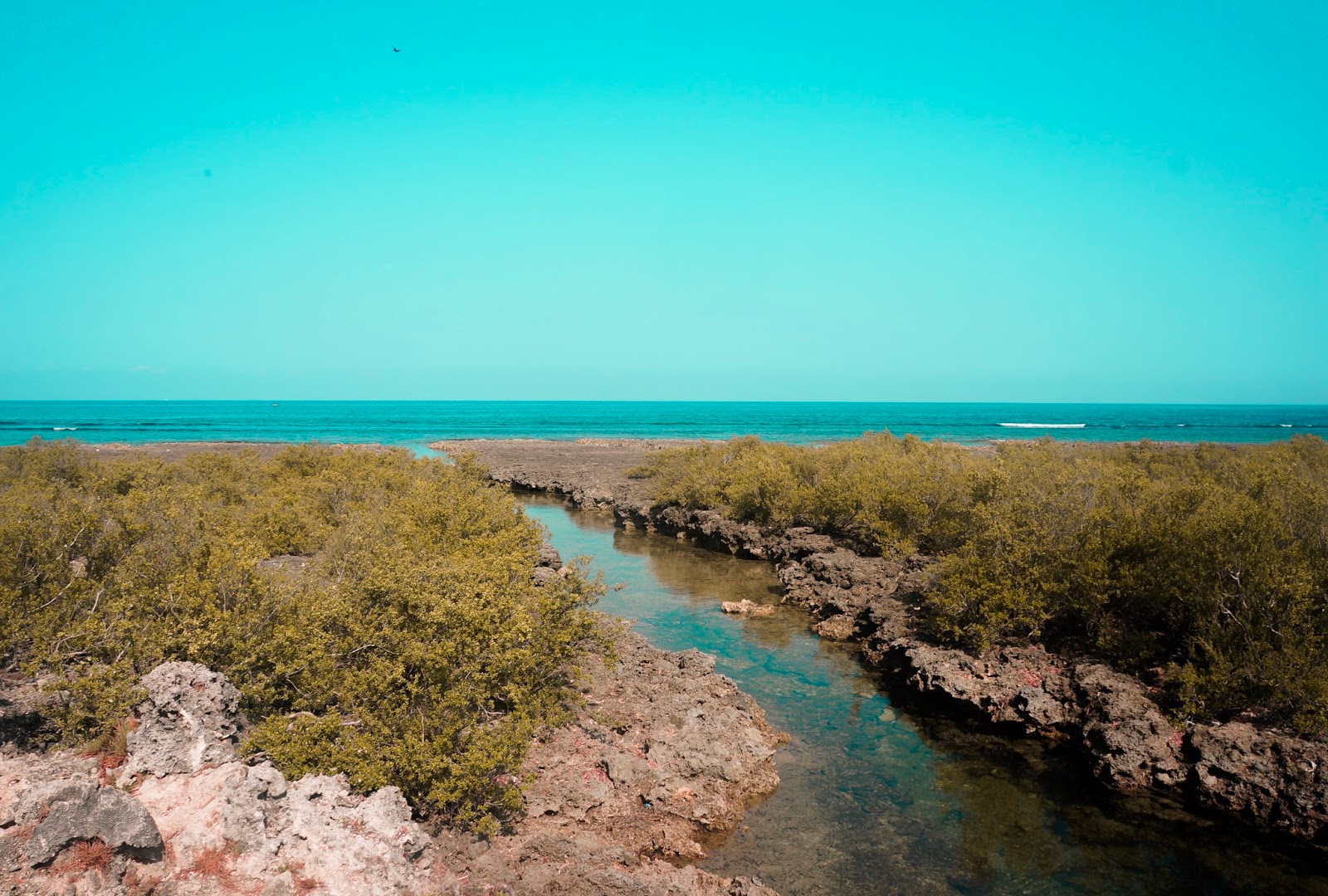 Immuki Island: New Gem in La Union, Philippines - THE DAPPER MEMOIRIST