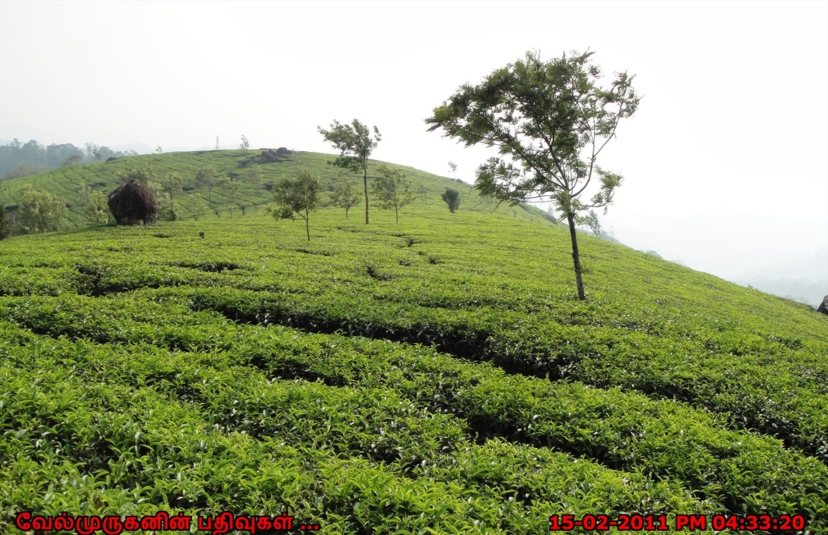 Munnar - Exploring My Life