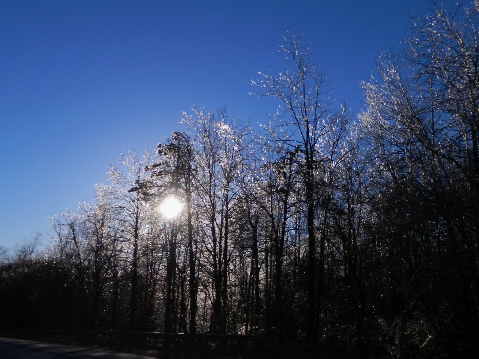 Lise's Log Cabin Life: Glistening, Glittering Tree Ice