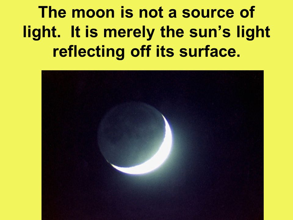 secondbwindsorroyal: Biology L2