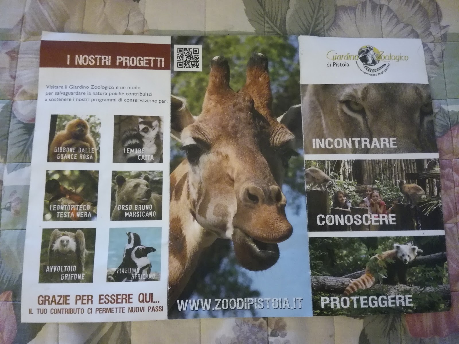 Gioia a Pistoia: Zoo di Pistoia / Giardino Zoologico