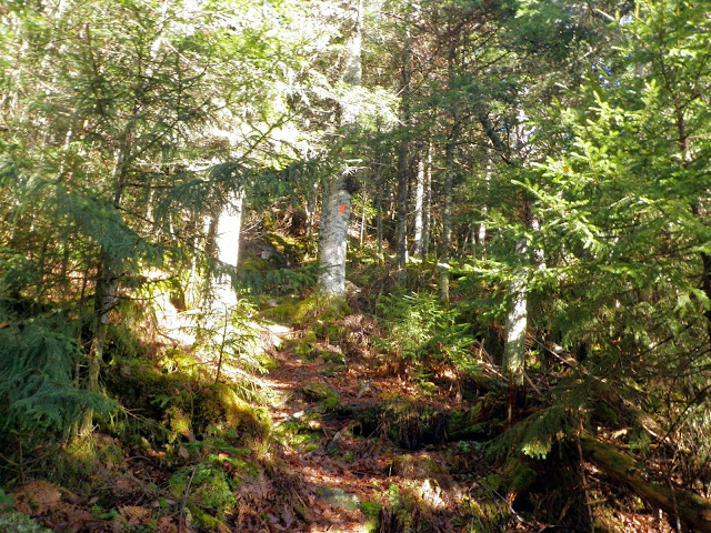 An Idiots Guide to Peakpagging and Hiking in New England: Mount ...