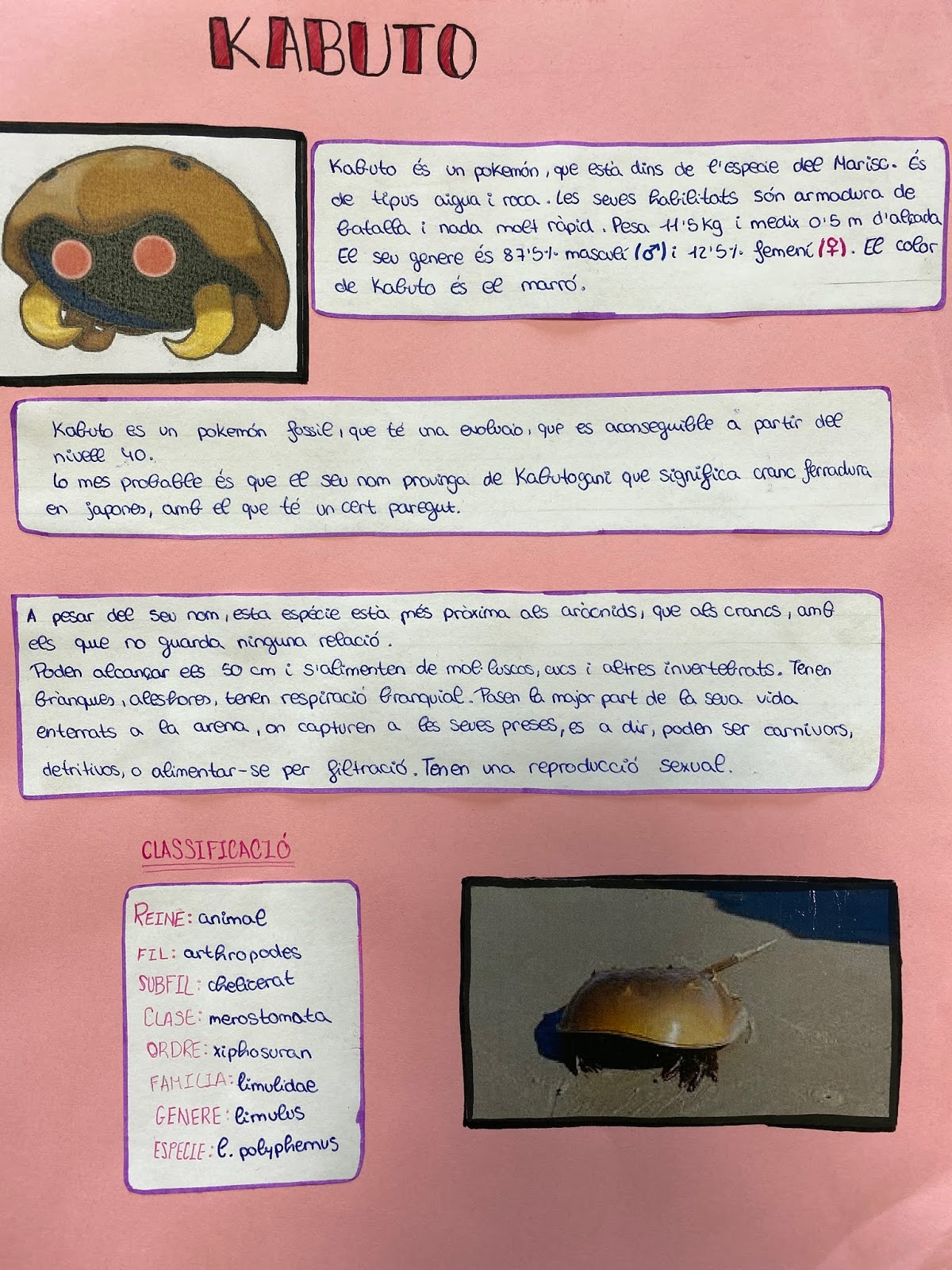 Pokémon Bio Invertebrados