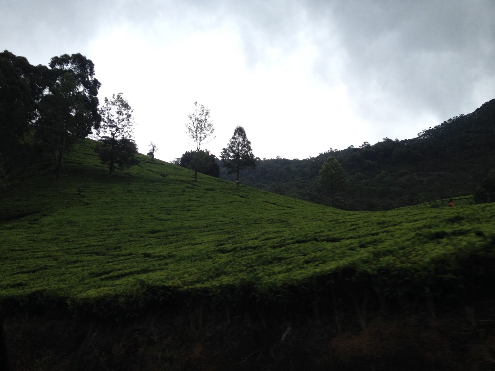 KANTHALLOOR THE LAND OF FRUITS | TOURIST ATTRACTIONS IN KANTHALLOR ...