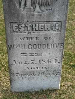 This Day in Goodlove History: This Day in Goodlove History, August 7