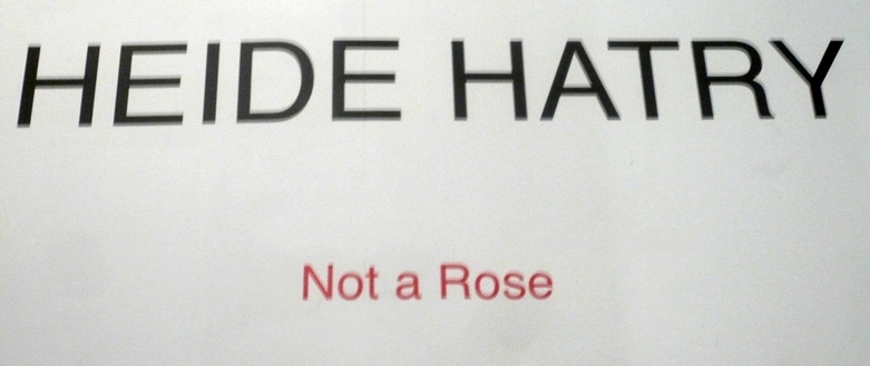 ArtisTalking: HEIDE HATRY @ STUX GALLERY