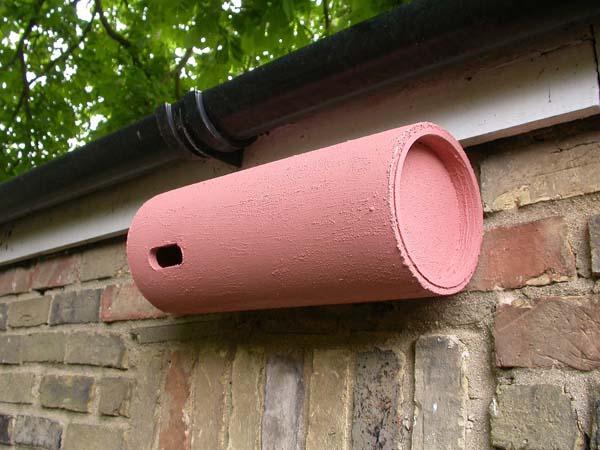 Action for Swifts: DIY swift box designs