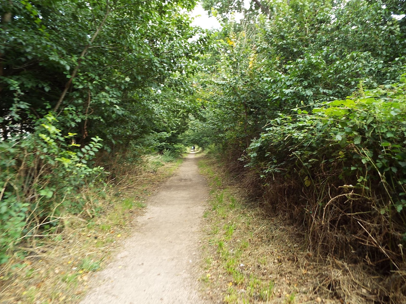 Reinterred: Santon Downham and Thetford Walk