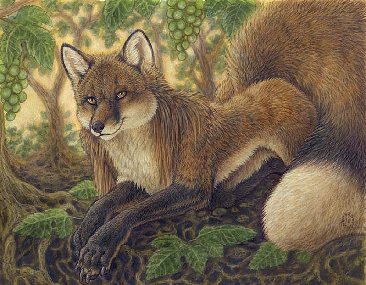 The Magic cafe: Фурри-арт Лисы. Dark Natasha