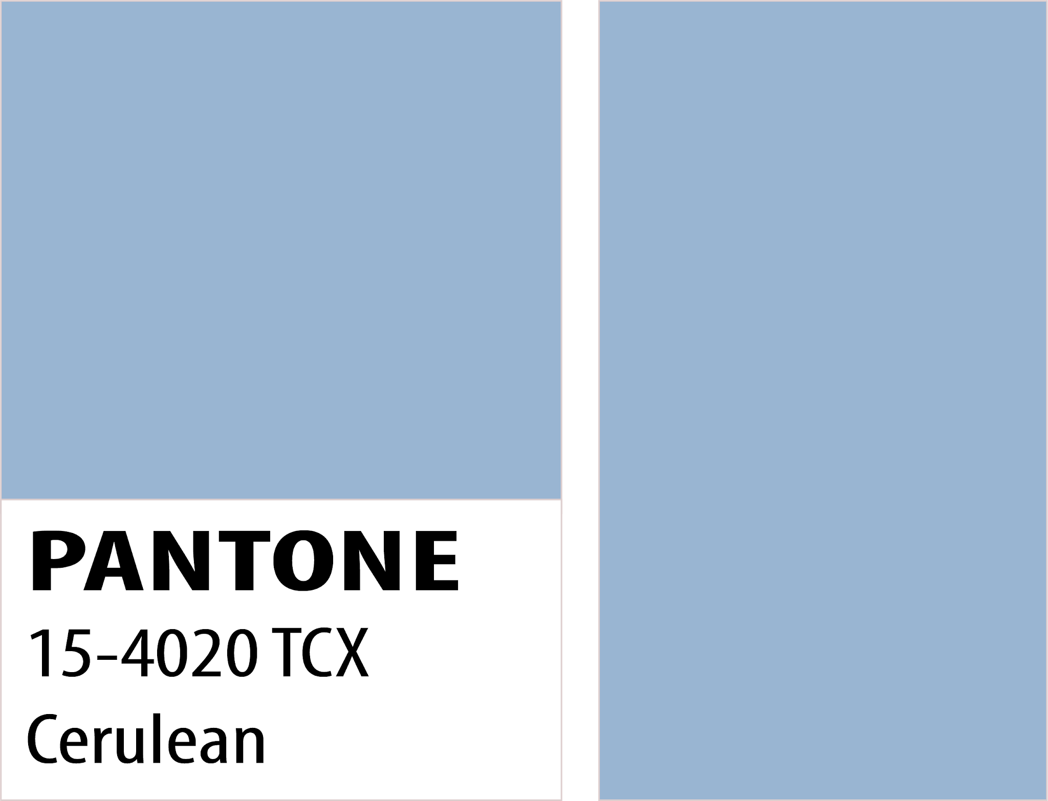 Spring Summer Color Palette 2021