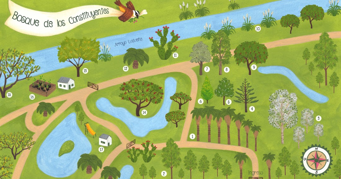 Margarita dibuja: Mapa de bosque