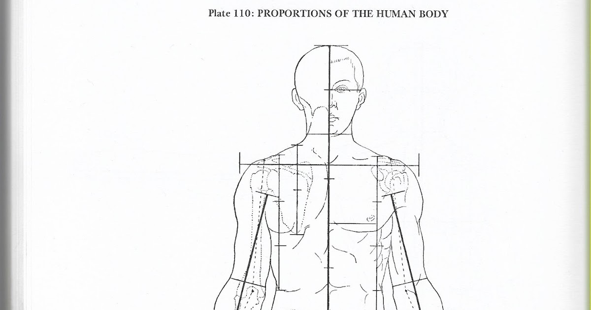 Artistic Anatomy Glasgow: Proportion Systems