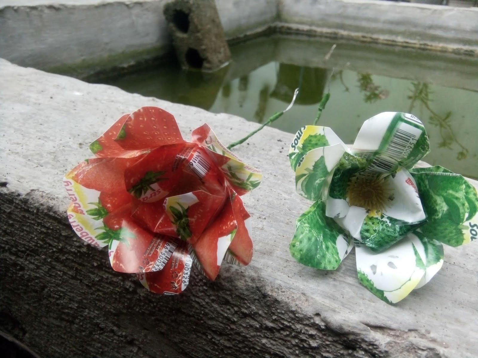 Serunya Membuat Pot Bunga dari Botol Kaca Bekas