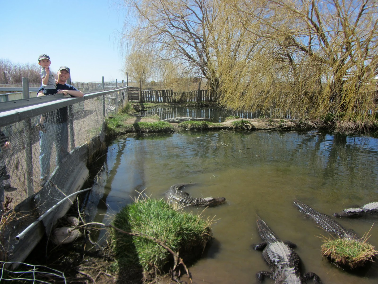 Brian & Angela Anderson Family: Colorado Gator Farm