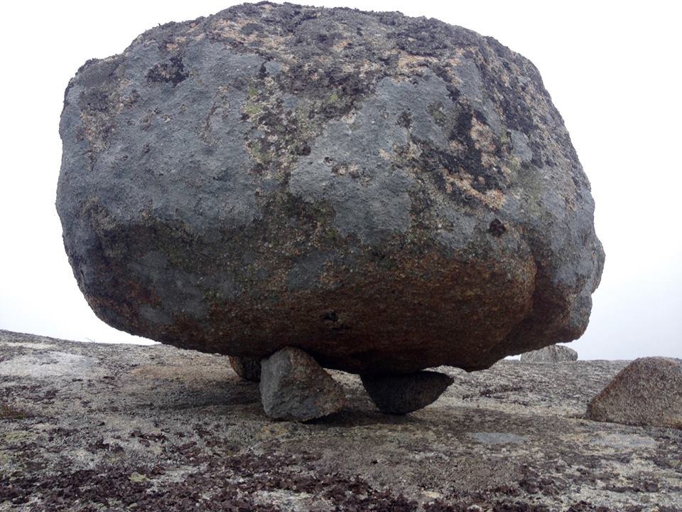 Quinta Essentia: Polly Cove Petroglyph - Double Spiral & Dolmen
