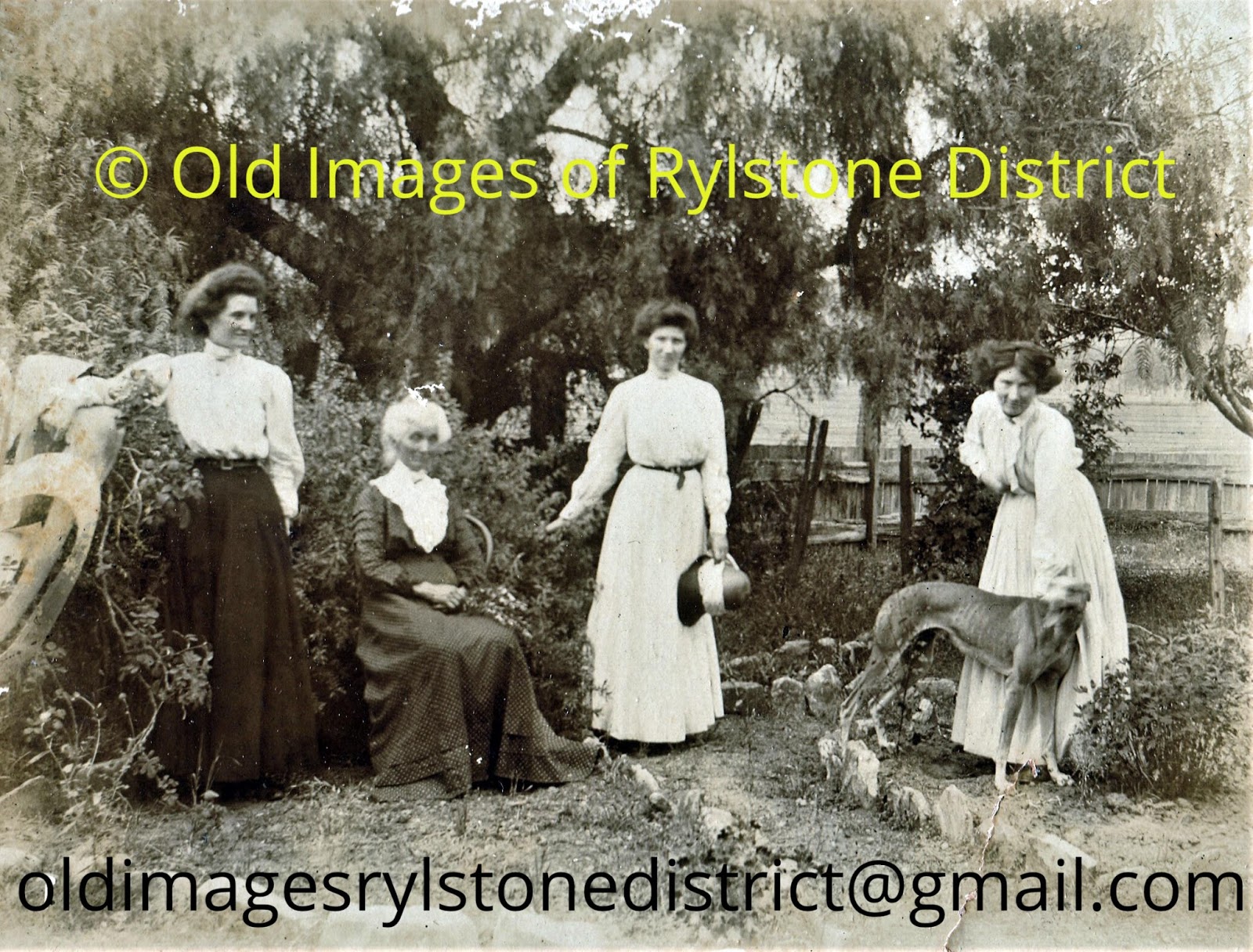 Old Images of Rylstone District: Identification needed - DAVIS family ...