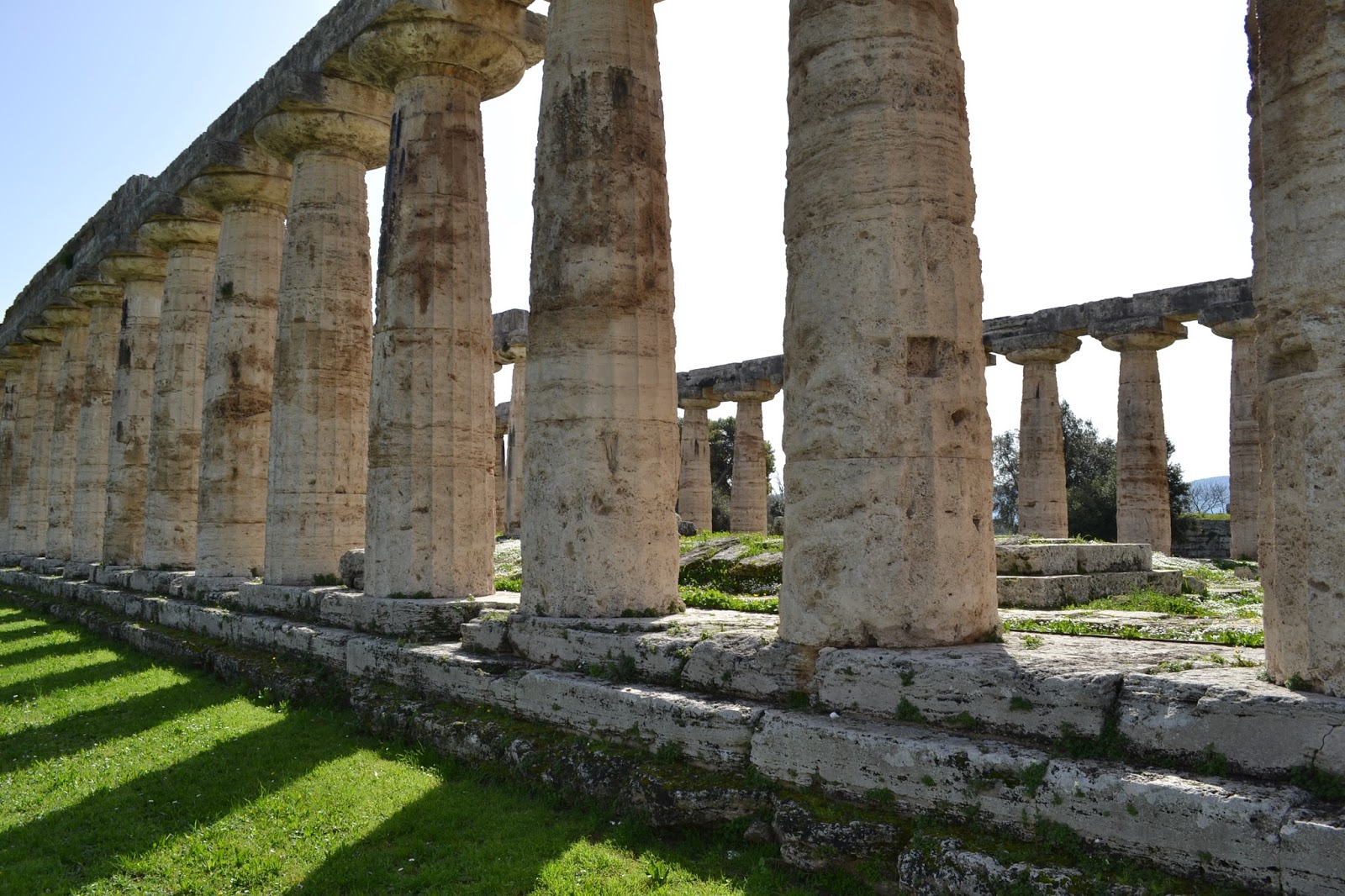 Maestra Anna -Classionline-: Poseidonia-Paestum: sito archeologico... il fascino del passato (2)