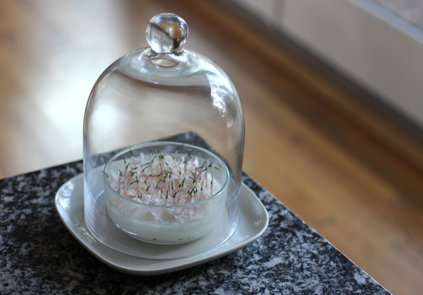 Illuminated Perfume: Jasmine Enfleurage