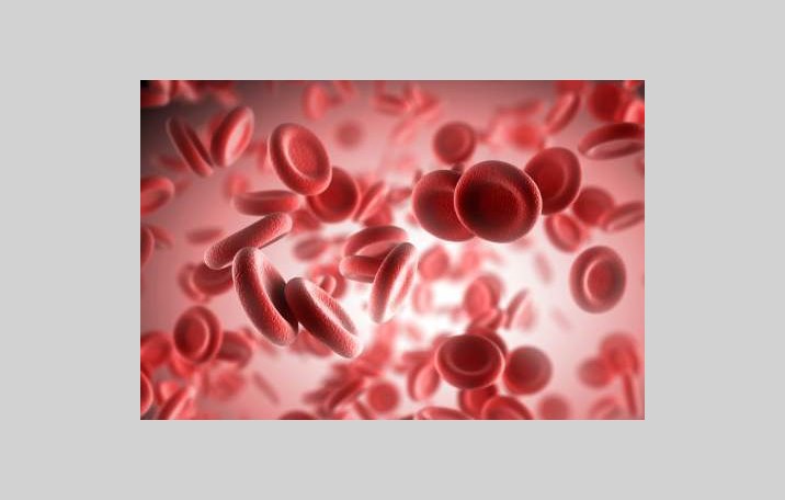 Trombosit : Pengertian, Struktur, Fungsi, Proses Terbentuknya