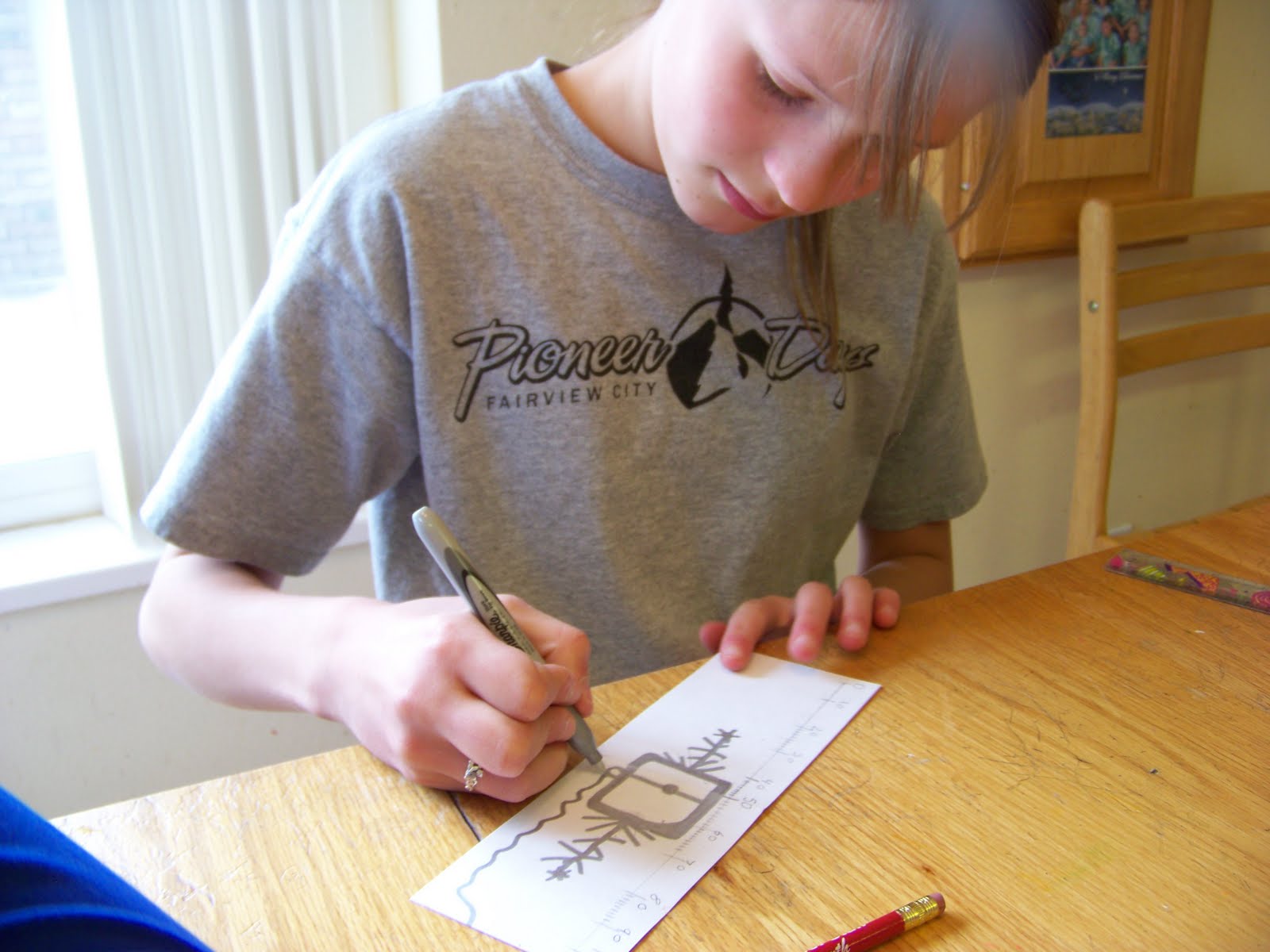 Our Fun Homeschool: Hands-On Graphs and Plots