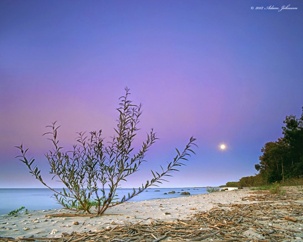 Minnesota Photography: Zippel Bay State Park
