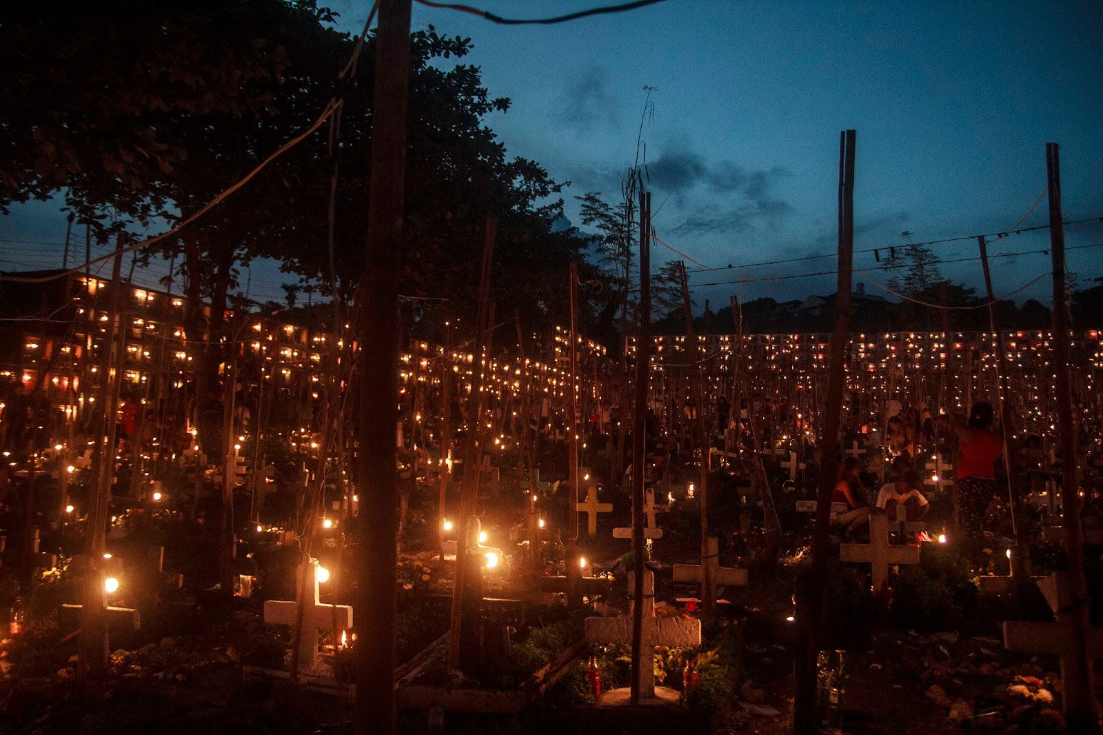Pardo Catholic Cemetery: A Thousand and One Lights on All Souls' Day ...