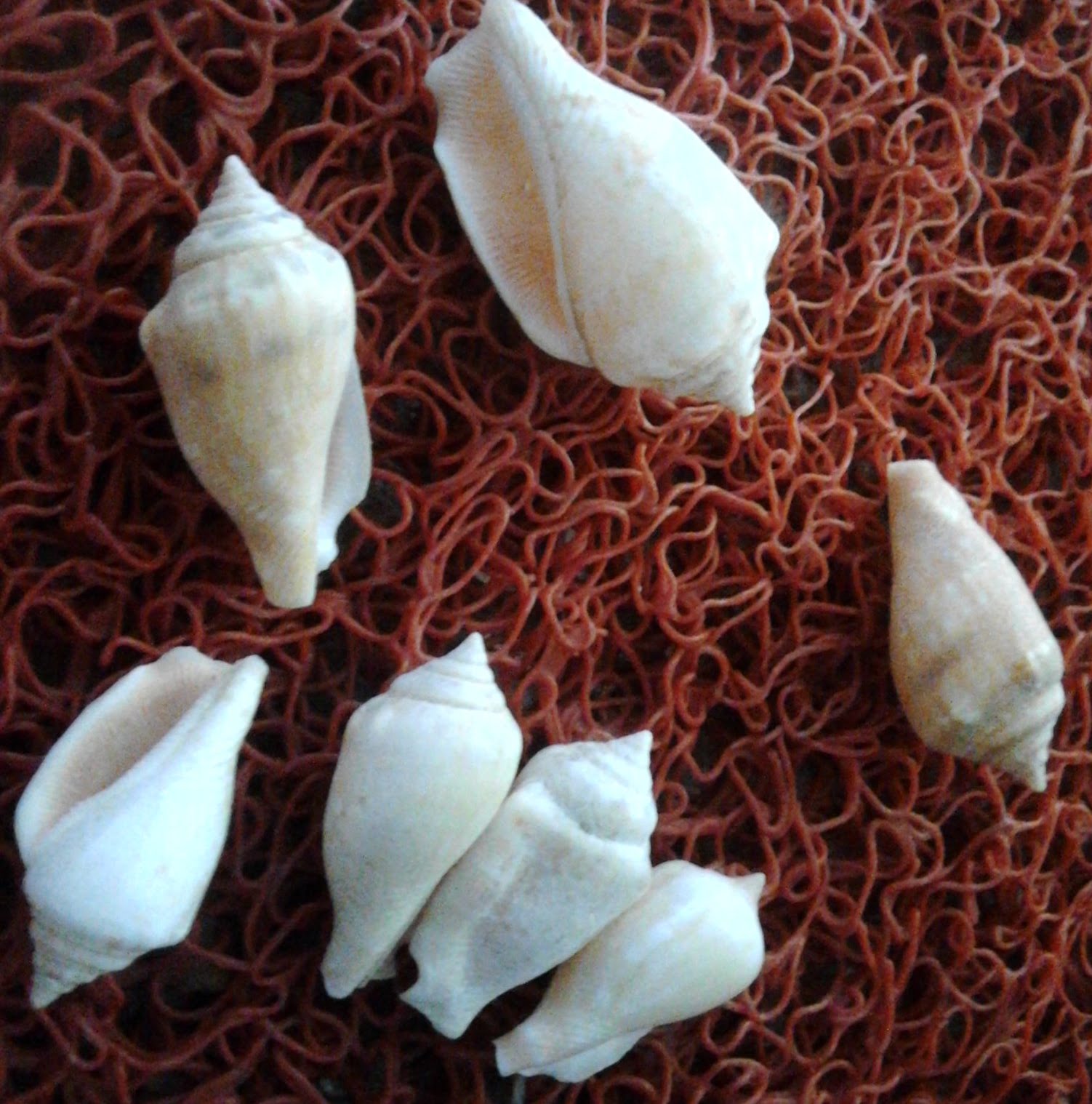 BeUniqueStyle: DIY material - shell series