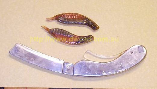 Propnomicon: October 2012