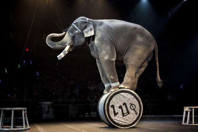 THE BALLOON MAN: SPRINGFIELD SHRINE CIRCUS