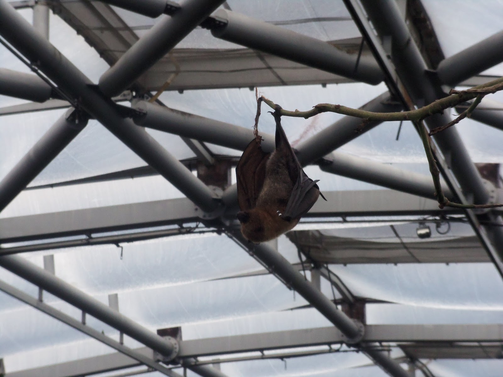 Masoala Halle Zürich Zoo