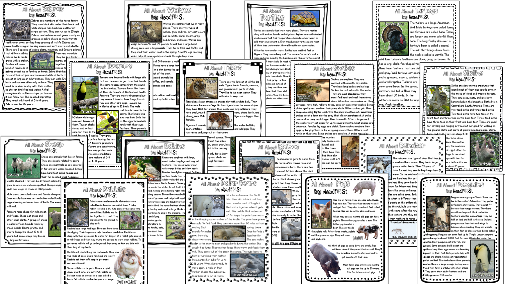 Headfirst - a blog for primary teachers by a first grade teacher ...