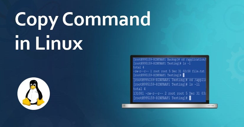 The Linux copy command (cp) | LPI Central