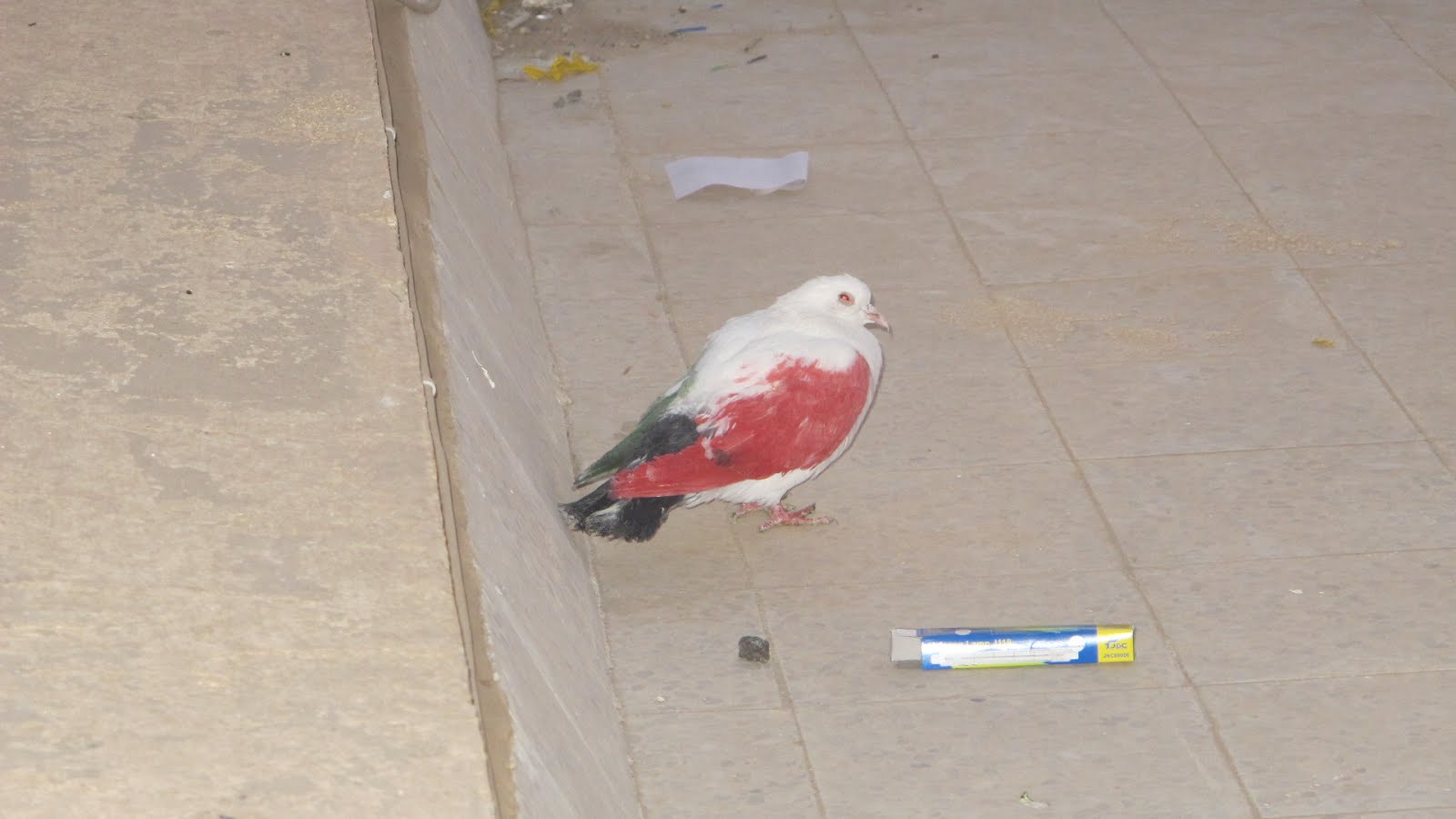 Yousef Al-Falah