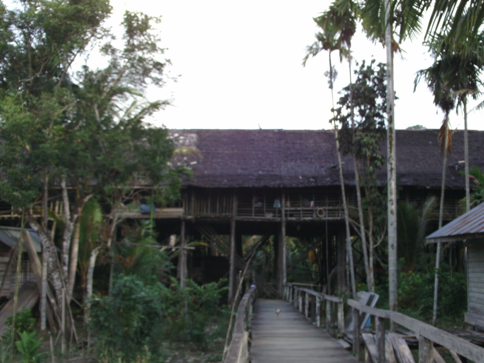 traditional house: traditional house of dayak tribe
