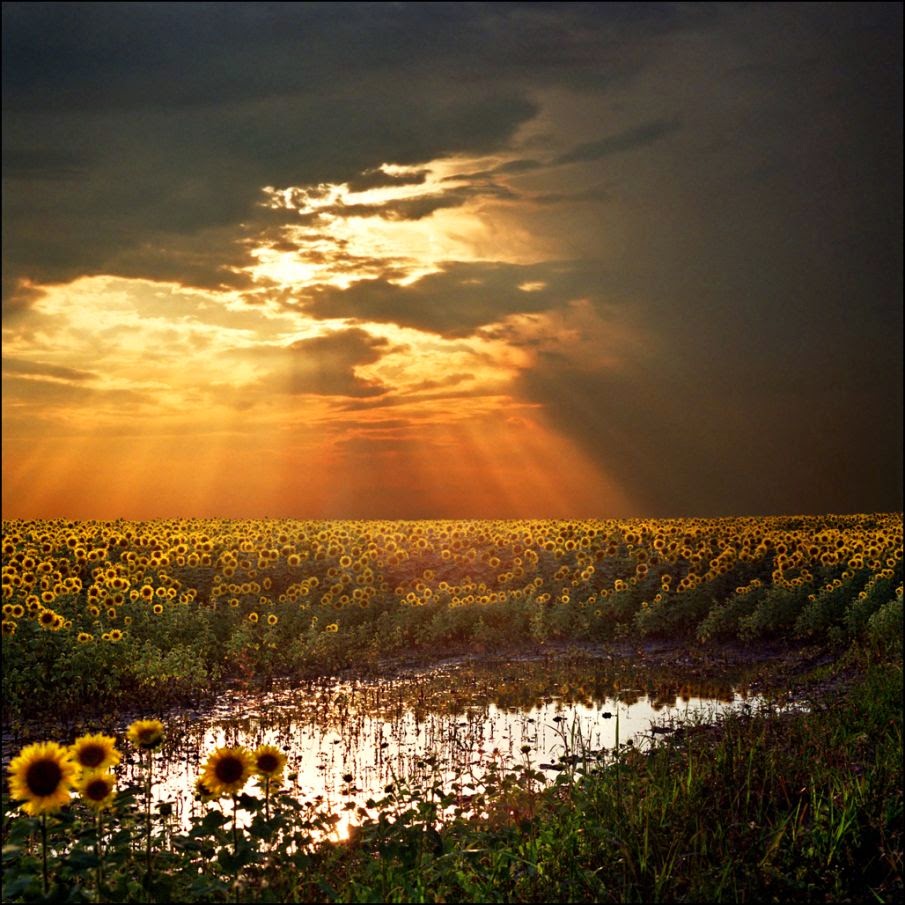 50 Wallpaper Alam Indah untuk Background - Koleksi Gambar