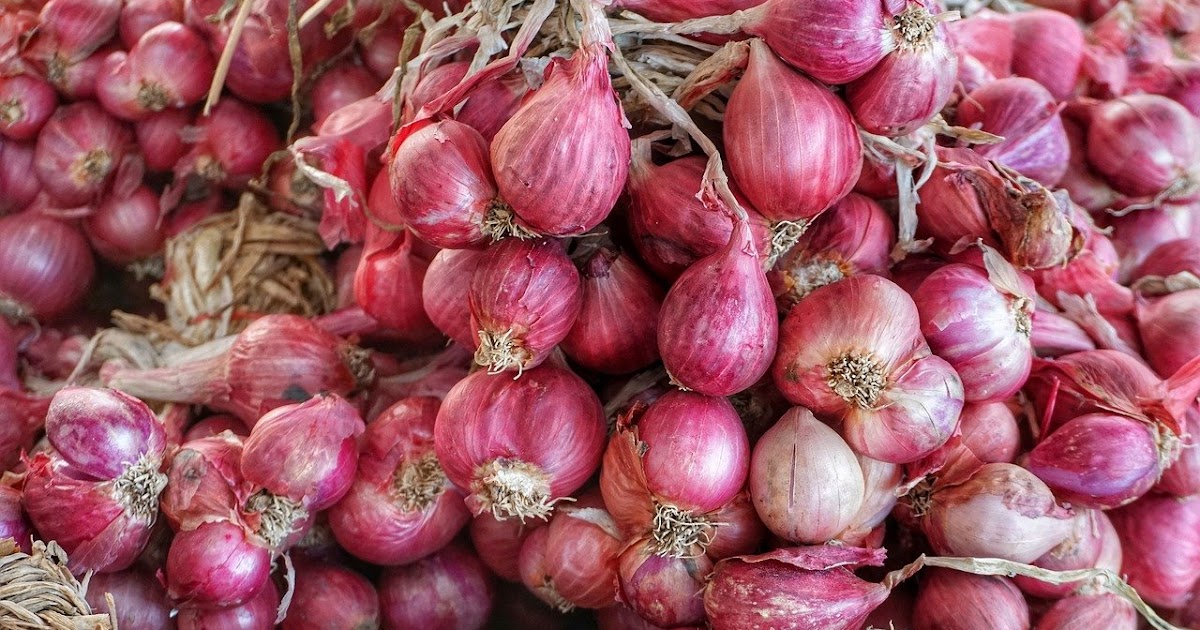 Bawang Merah (Allium cepa L. var. aggregatum) ~ Resep Masakan Enak