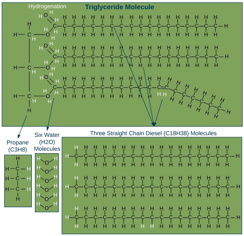 Hydrotreating (HVO) – Concepts, feedstocks and specifications