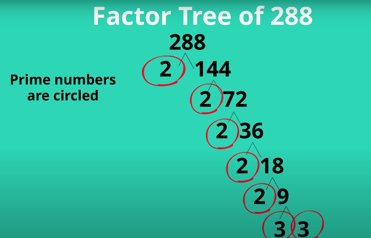 All Factors Of 288 MooMooMath And Science