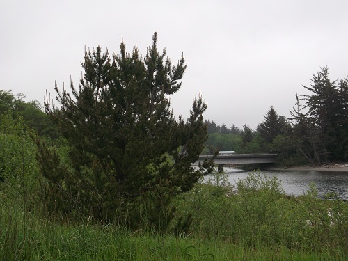 Studying and Creating Art on the Pacific Northwest Coast: Day 4 ...