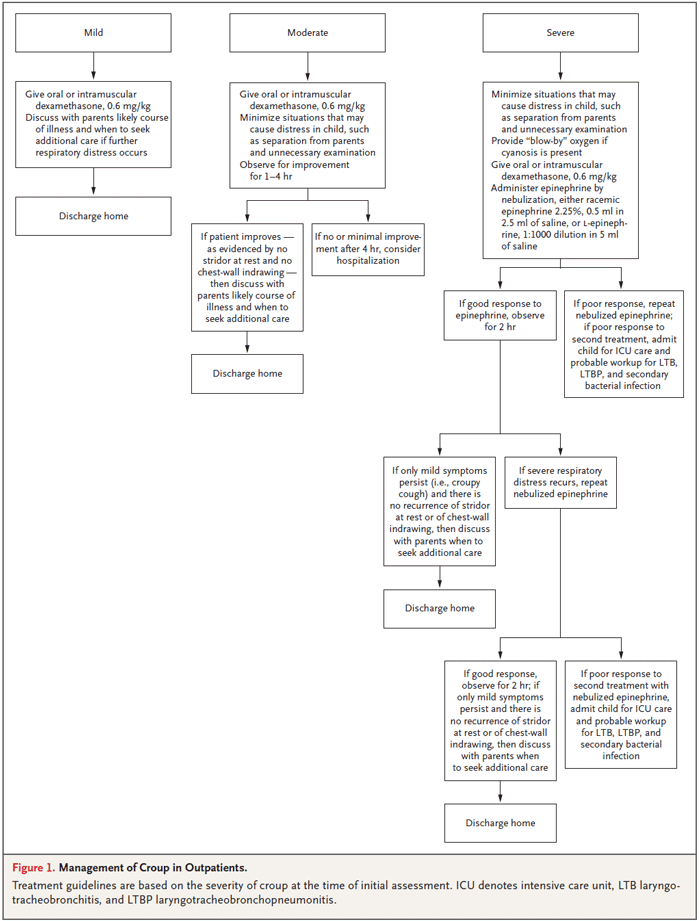 Dr.OBSERVER: How to Treat Croup In ER?