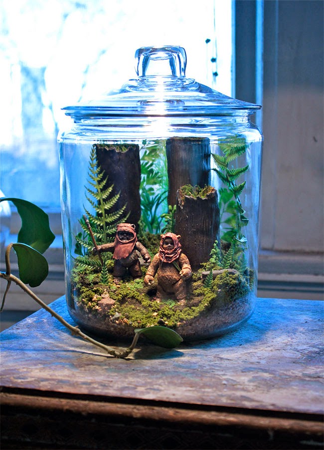 Teraryum: Teraryum-Terarium