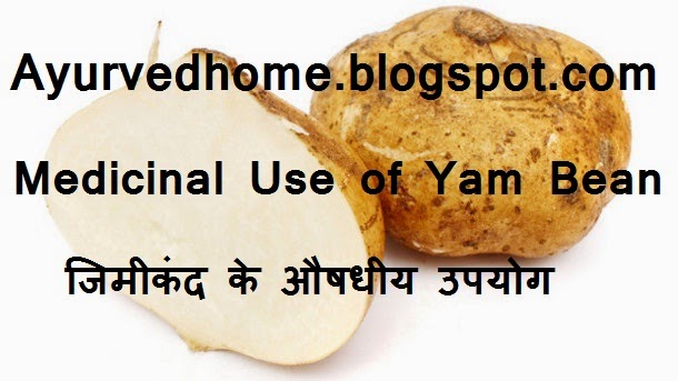 Ayurveda Home and Remedies with Nature: Yam Beans and Ratalu Medicinal ...