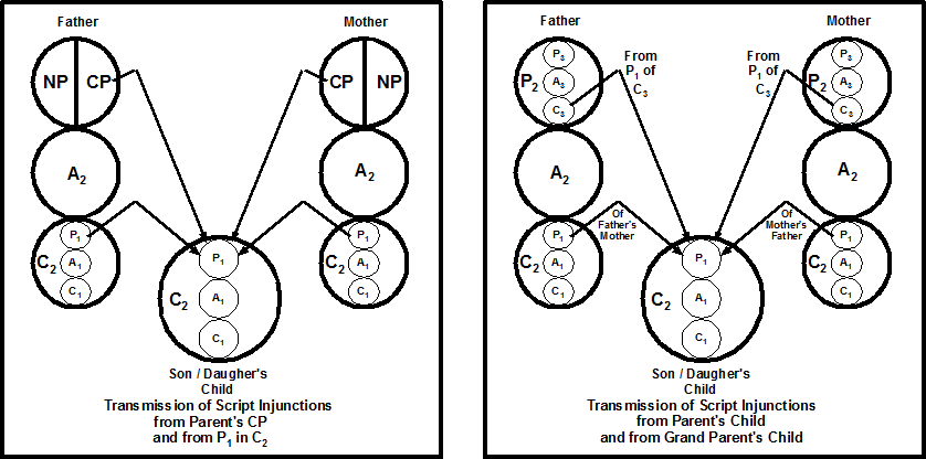 Transactional Analysis Theory and Practice: Transactional Analysis ...